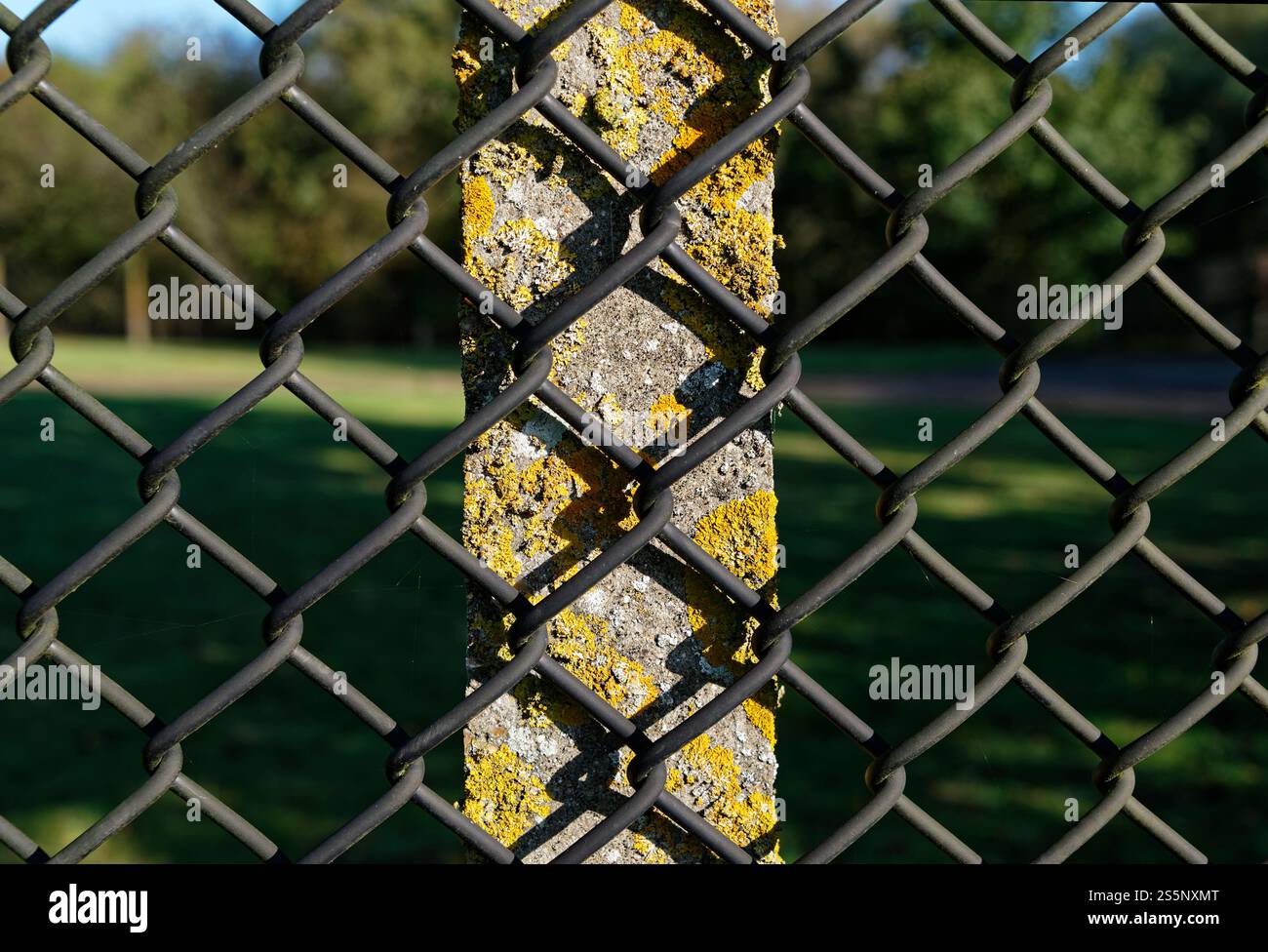 A diamond shaped chain fence is supported by a concrete post. The post ...