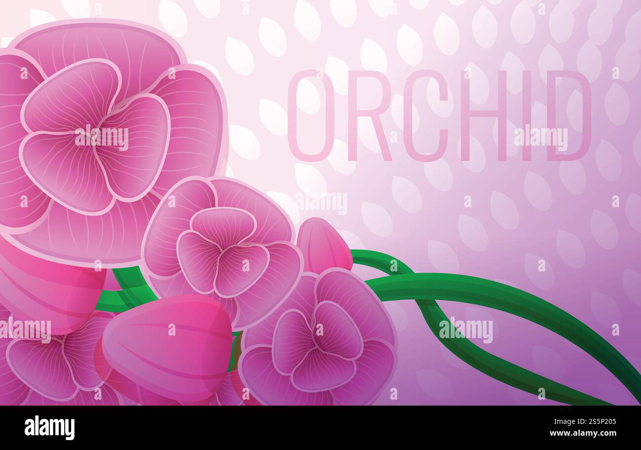 Pink orchid bouquet concept banner. Cartoon illustration of pink orchid ...
