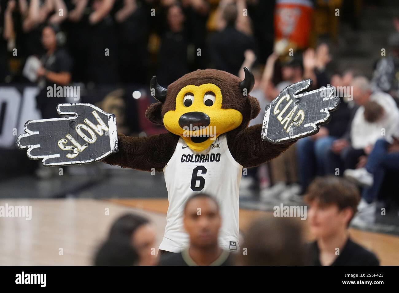Colorado mascot Chip leads the crowd in a clap in the second half of an ...