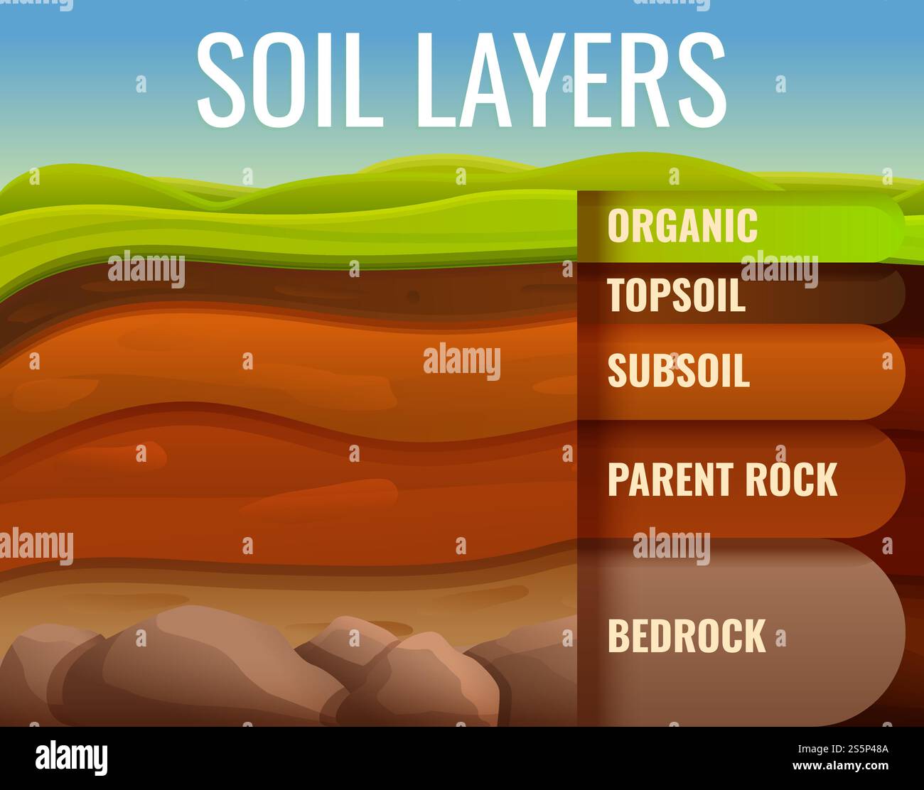 Soil ground land infographic. Cartoon of soil ground land vector ...