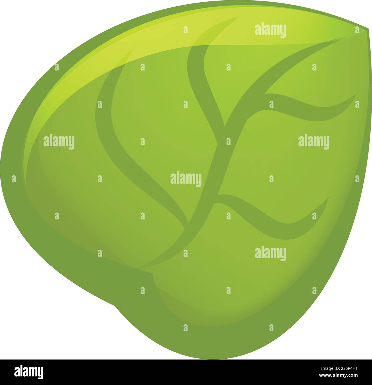 Camellia green leaf icon. Cartoon of camellia green leaf vector icon for web design isolated on ...