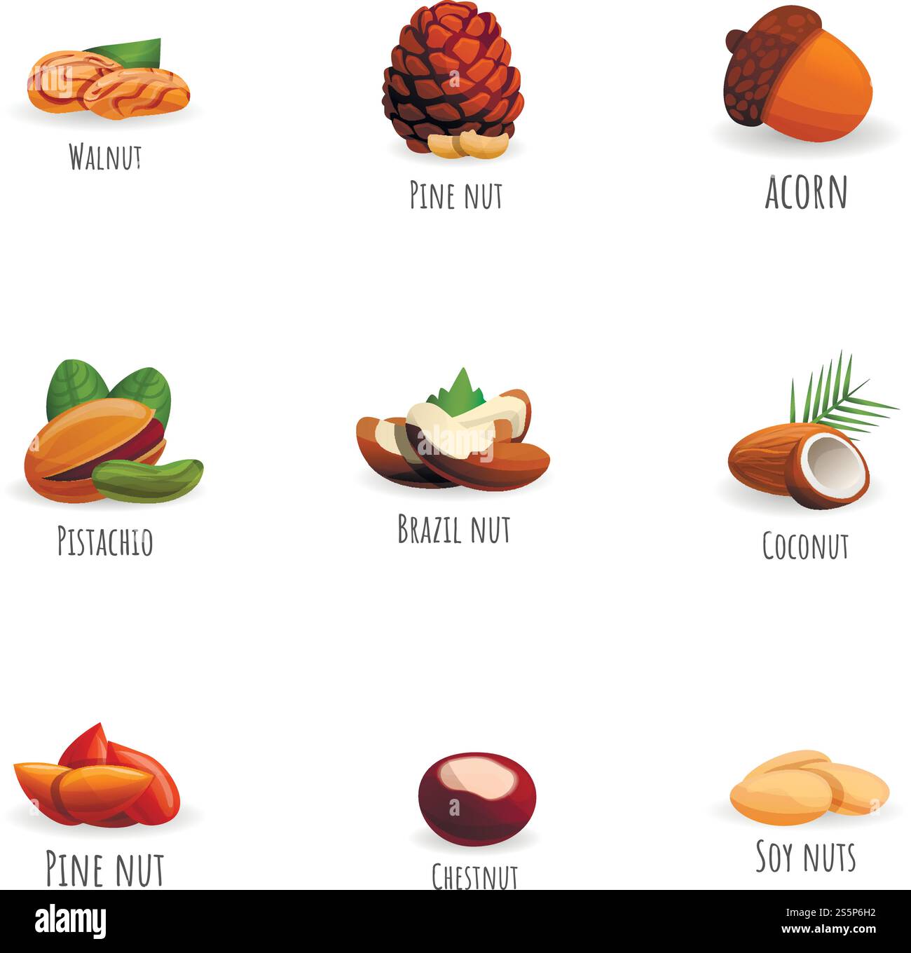 Fresh nuts icon set. Cartoon set of 9 fresh nuts vector icons for web ...