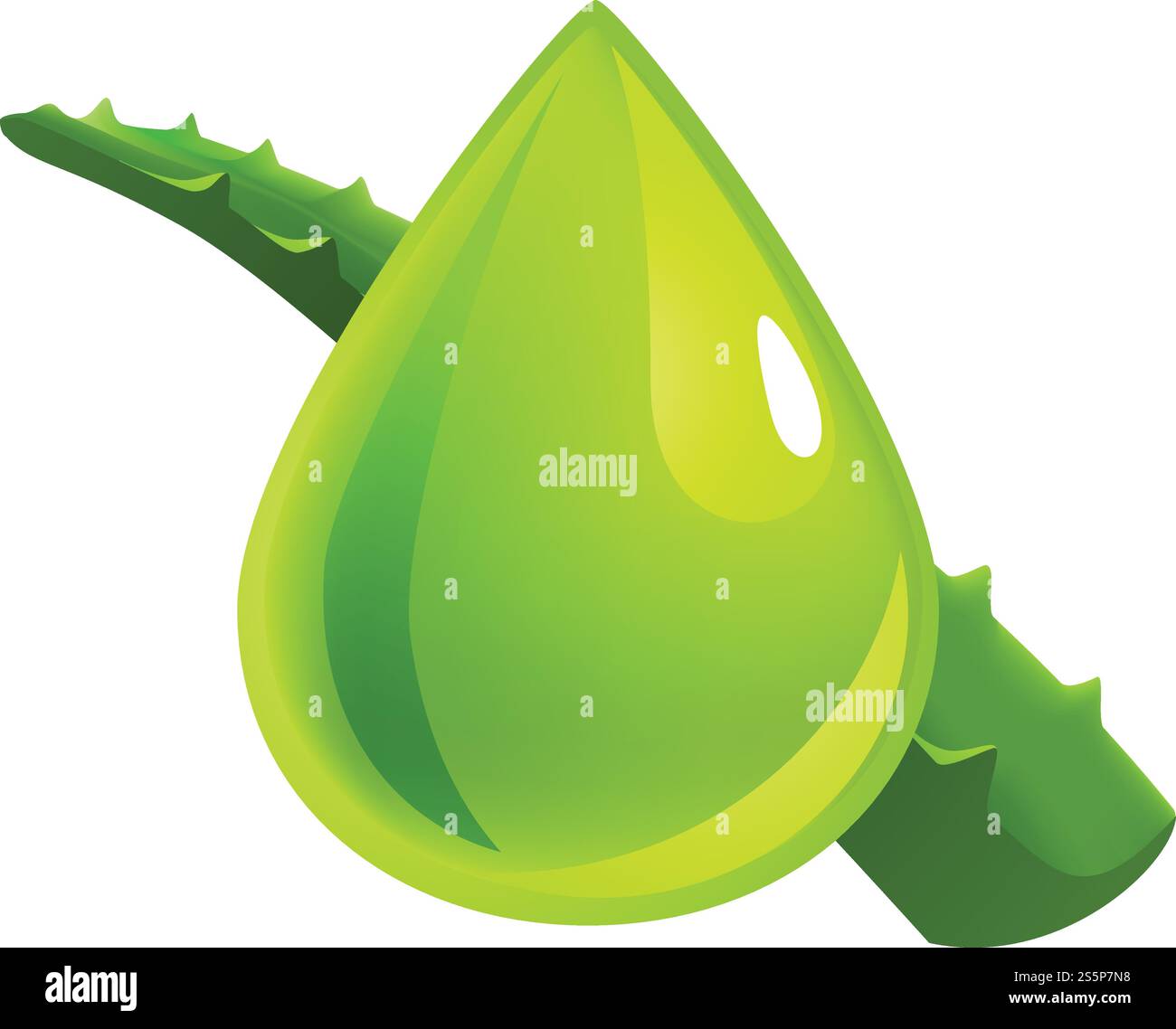Aloe vera drop icon. Cartoon of aloe vera drop vector icon for web ...