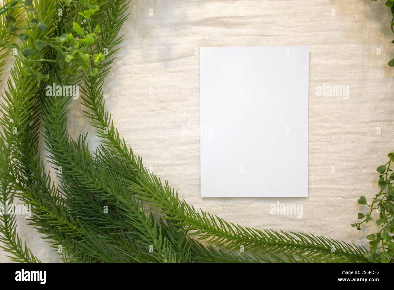 Blank Card Mockup designs in an authentic setting white greeting card ...