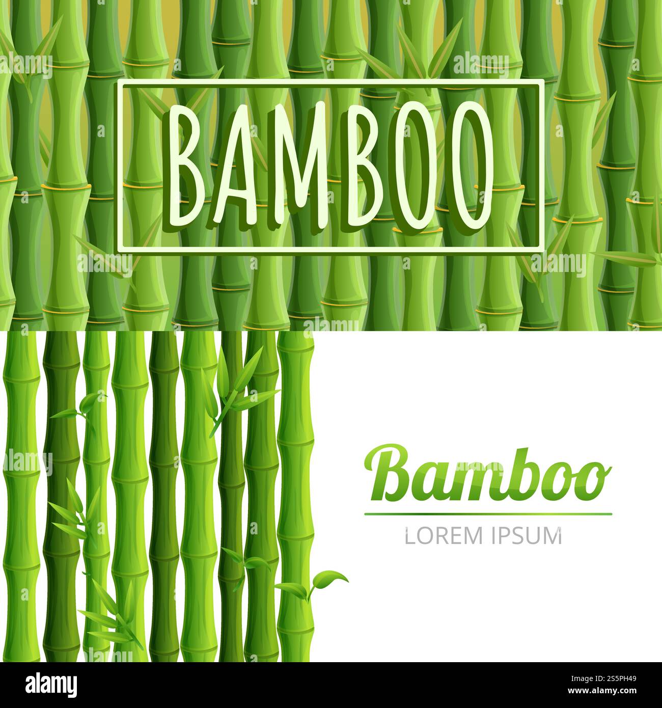 Bamboo banner set. Cartoon illustration of bamboo vector banner set for ...