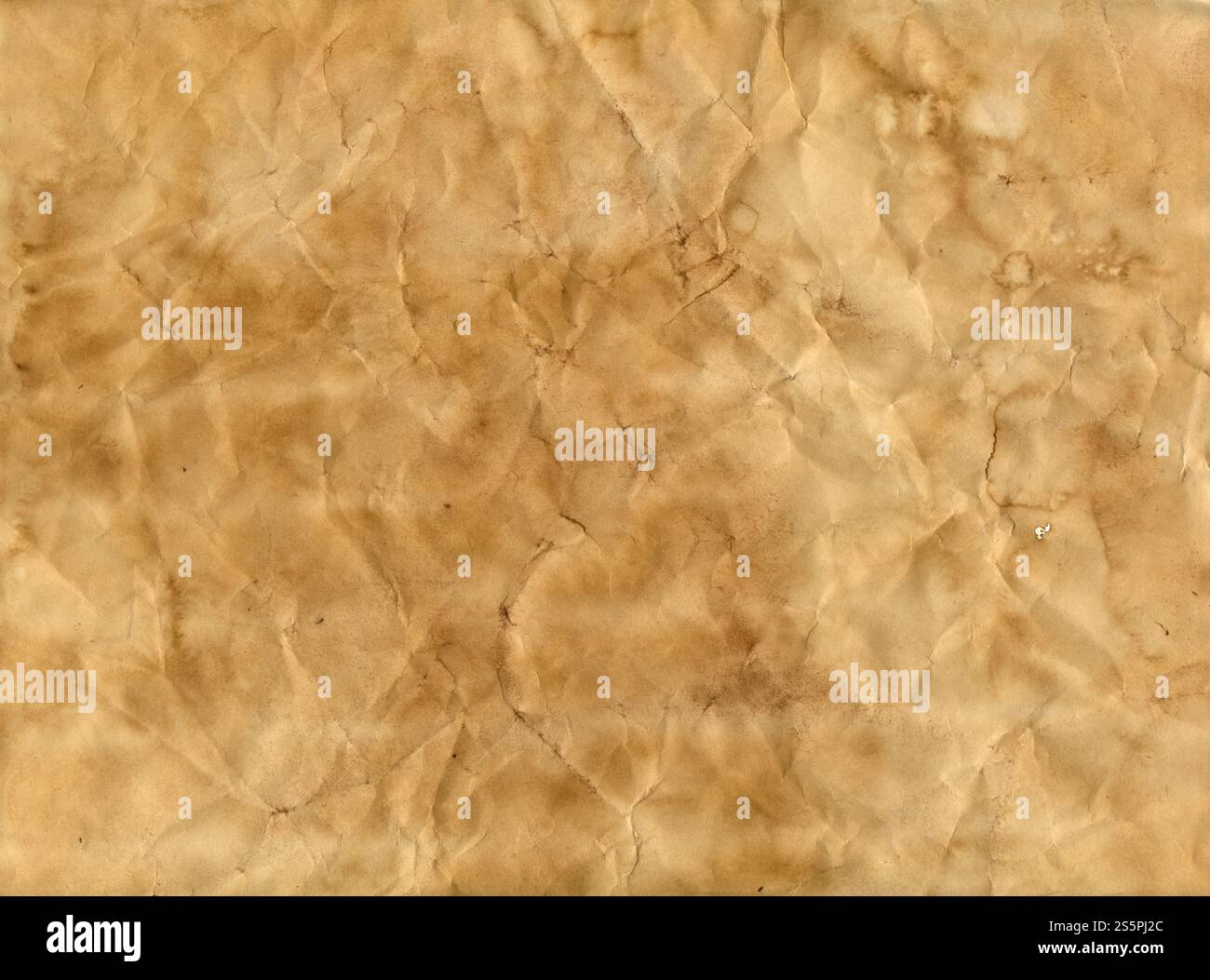 Old grunge parchment paper texture. Vintage background wallpaper. Old ...