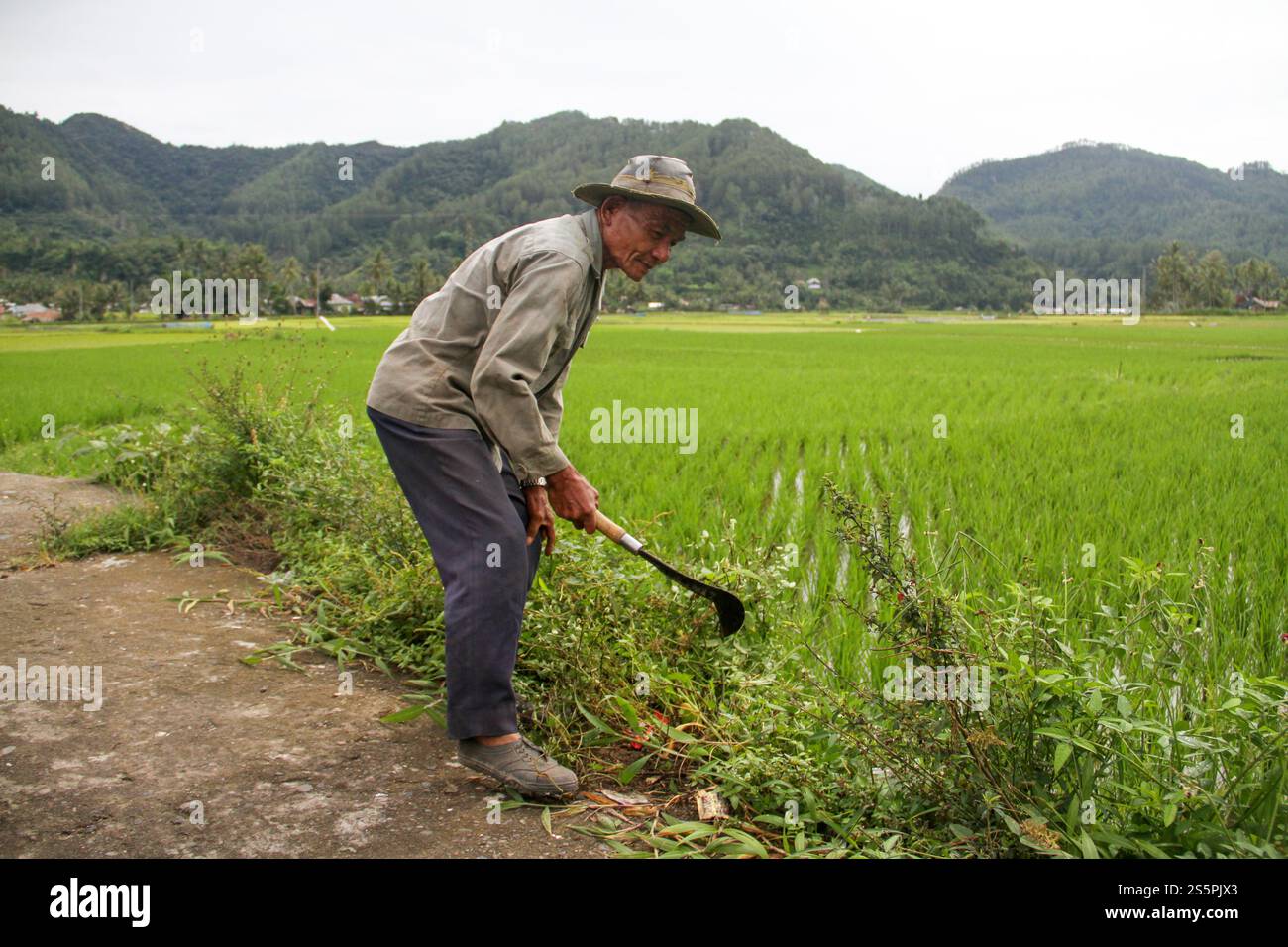 Indonesian rice farmer carrying a hoe in the Harau Valley of West ...