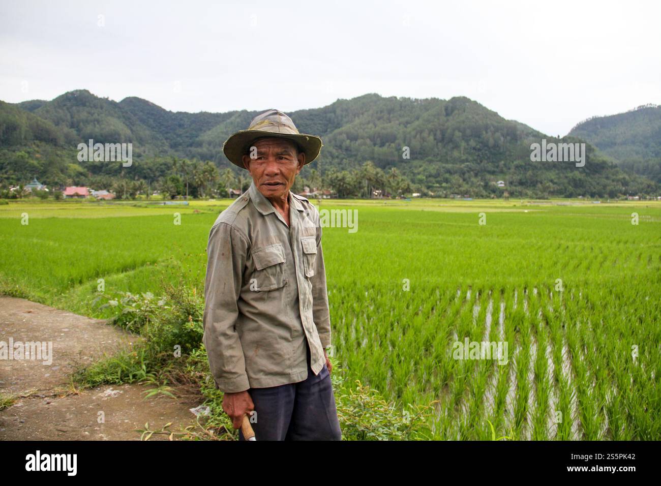 Indonesian rice farmer carrying a hoe in the Harau Valley of West ...