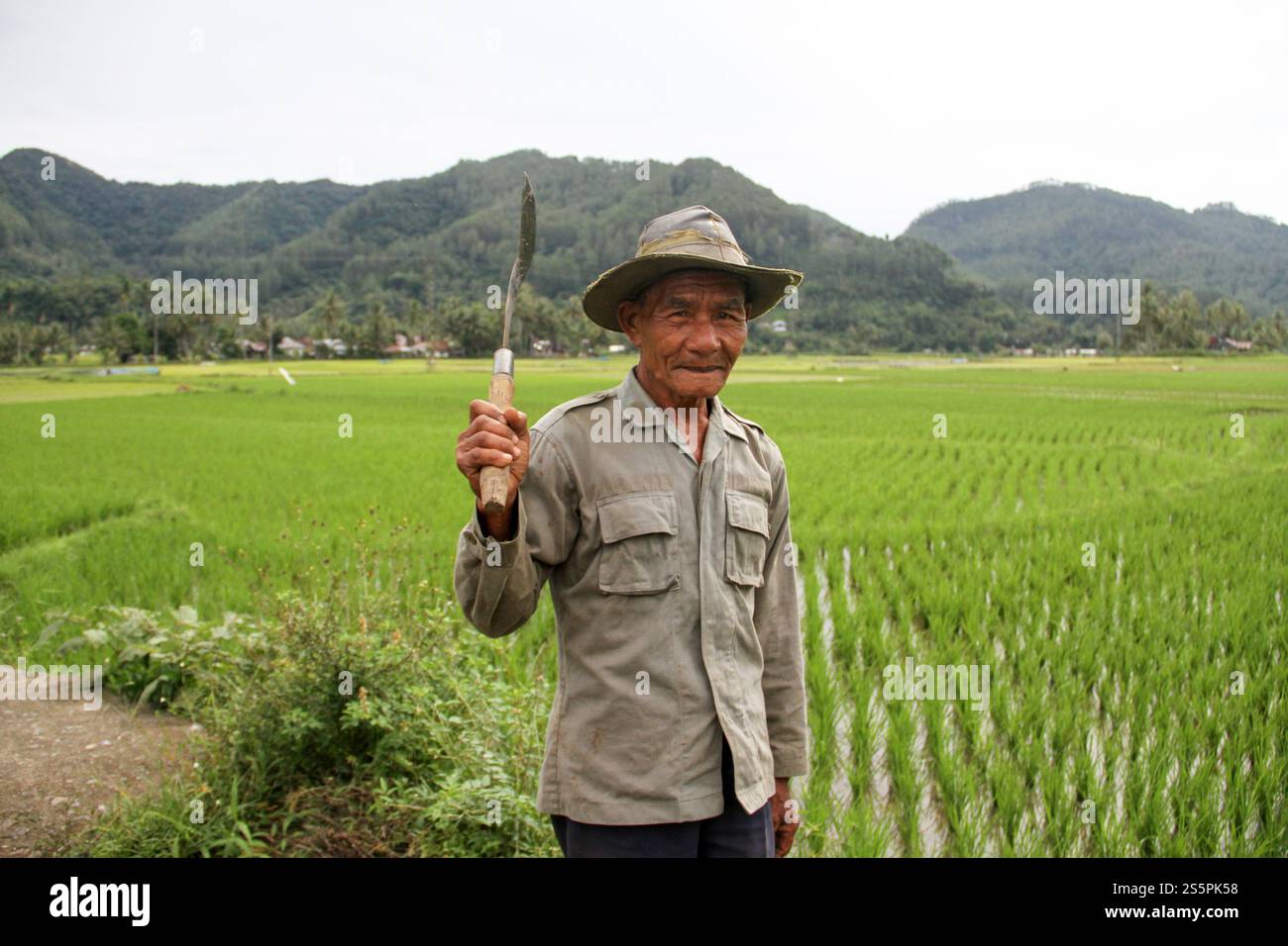 Indonesian rice farmer carrying a hoe in the Harau Valley of West ...