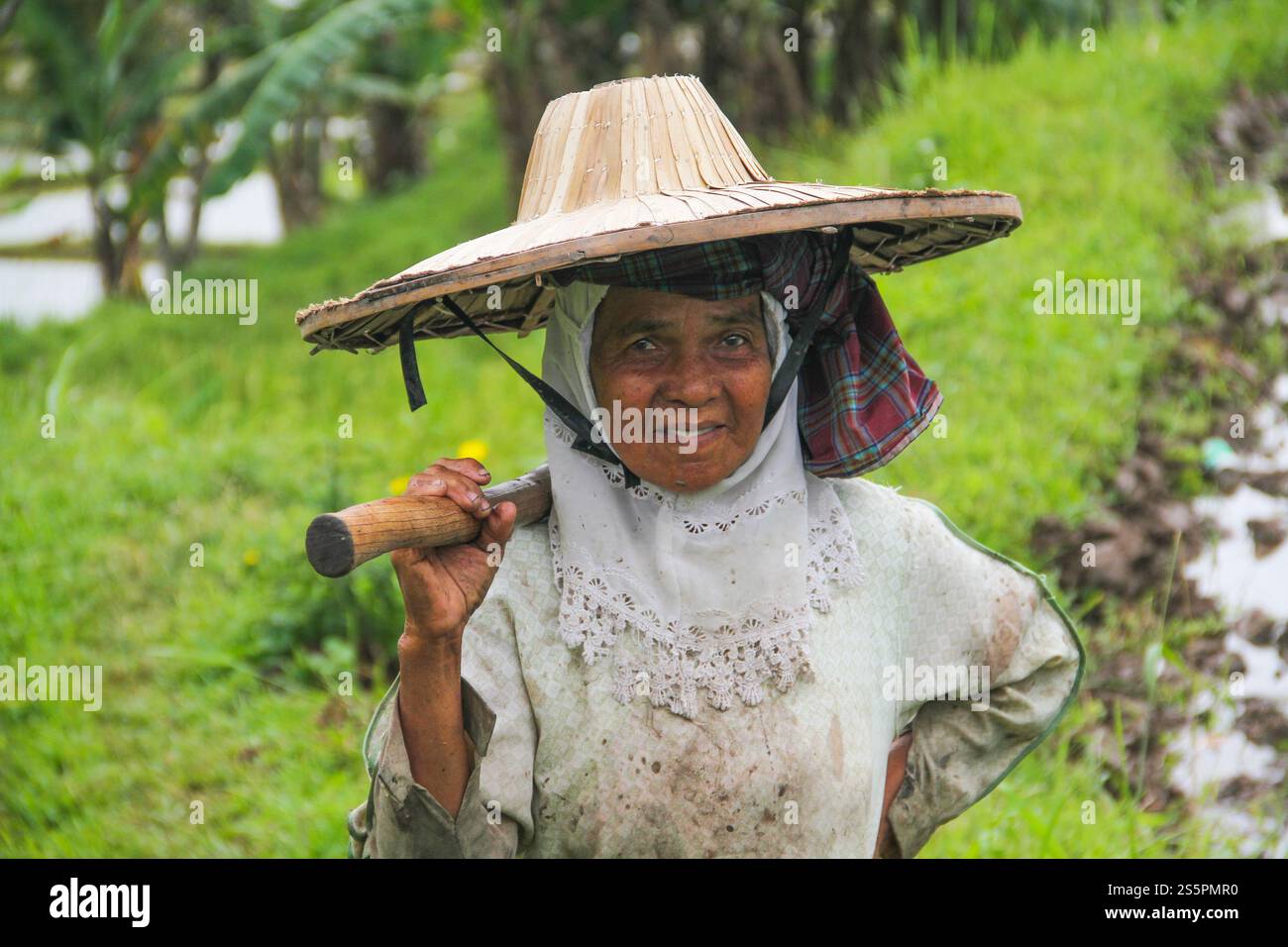 A female rice farmer or rice field worker with a straw hat and muddy ...