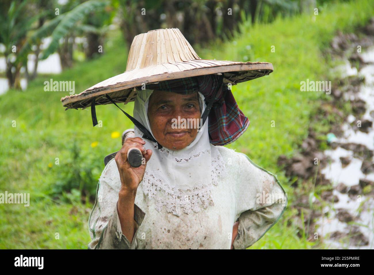 A female rice farmer or rice field worker with a straw hat and muddy ...