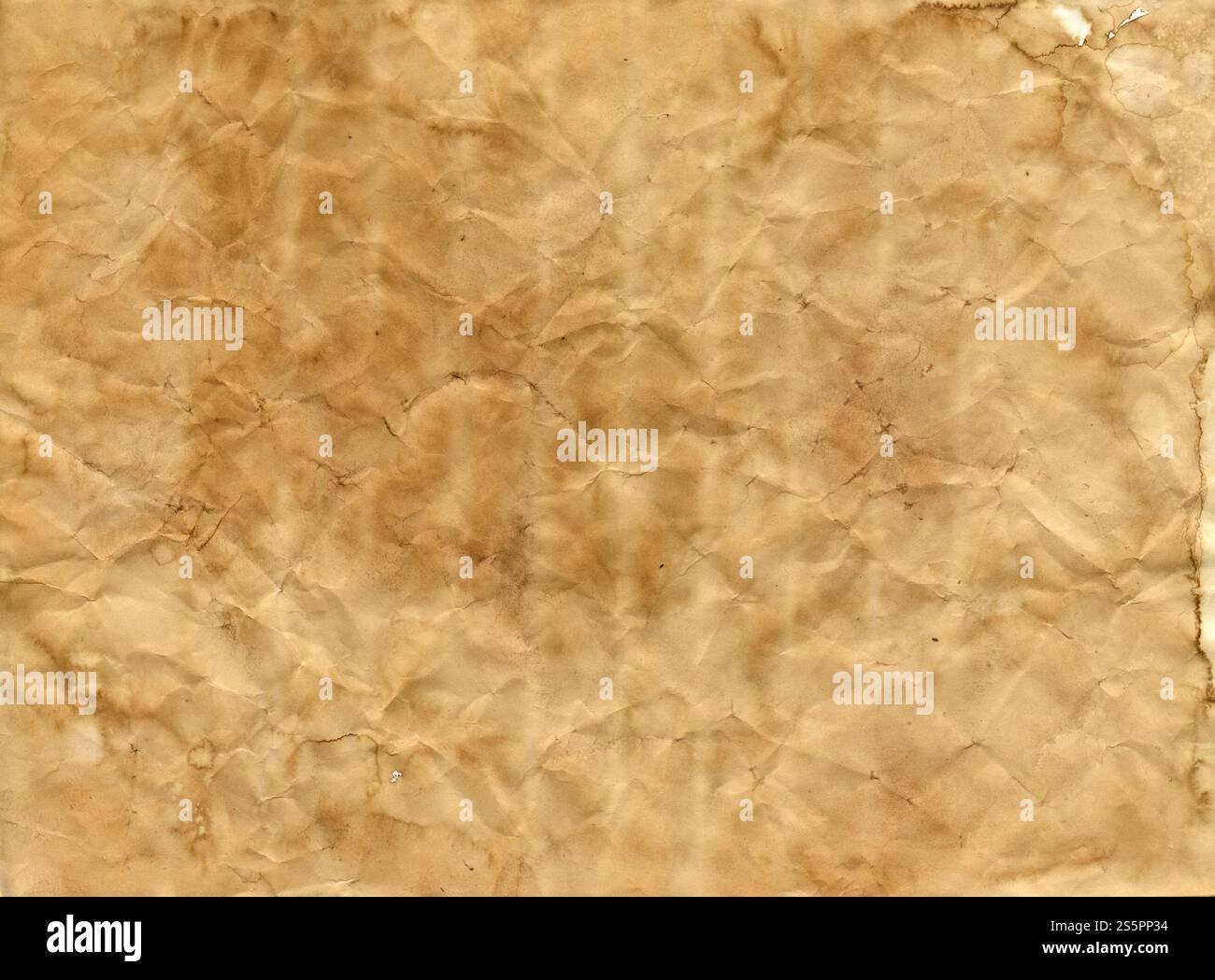 Old grunge parchment paper texture. Vintage background wallpaper. Old ...