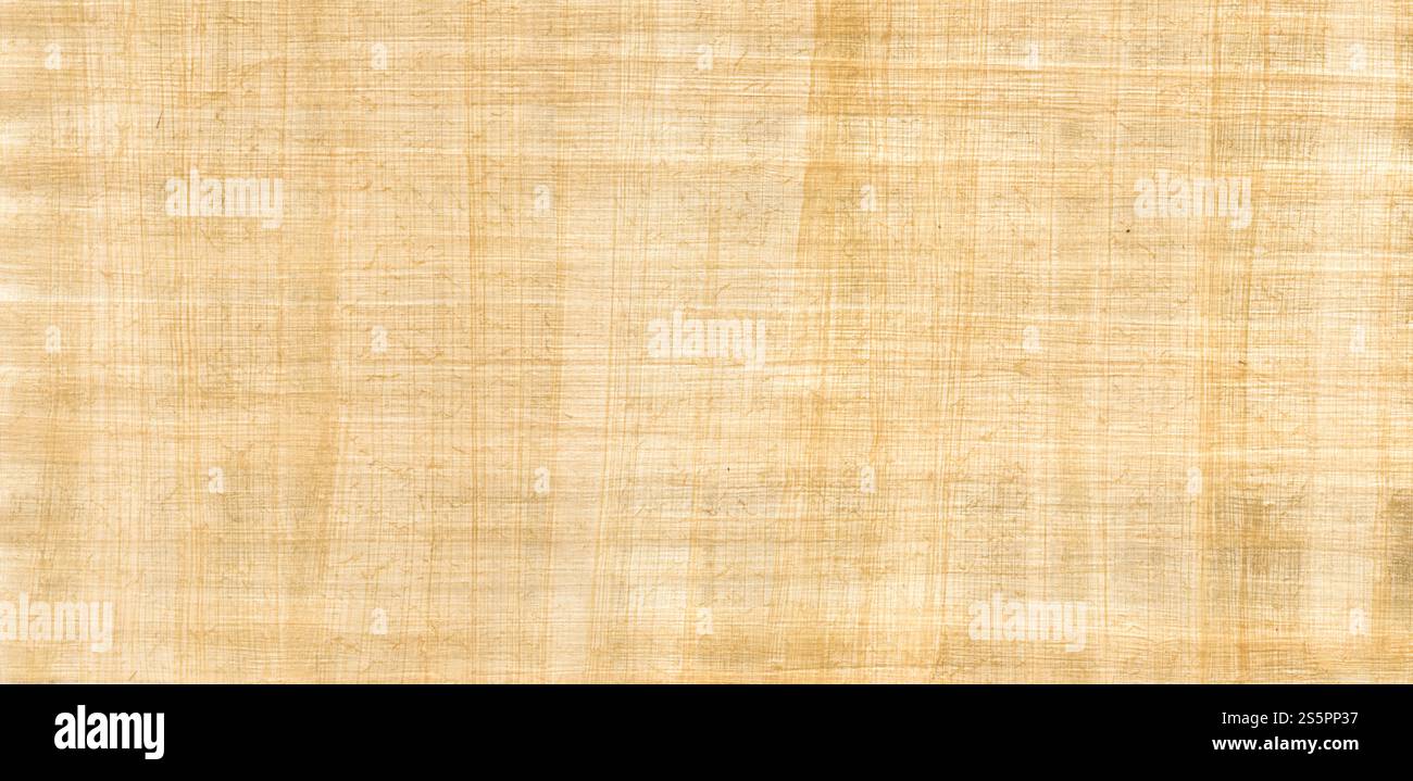 Old brown papyrus background texture. Banner wallpaper. Old papyrus ...