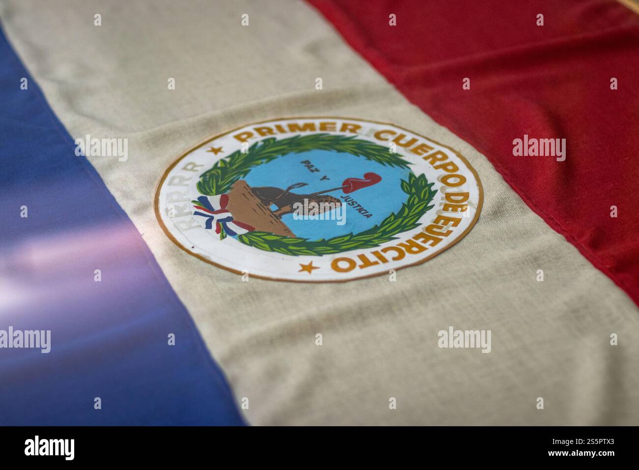 Close-up shot of a historic Paraguayan flag showcasing the emblem with ...