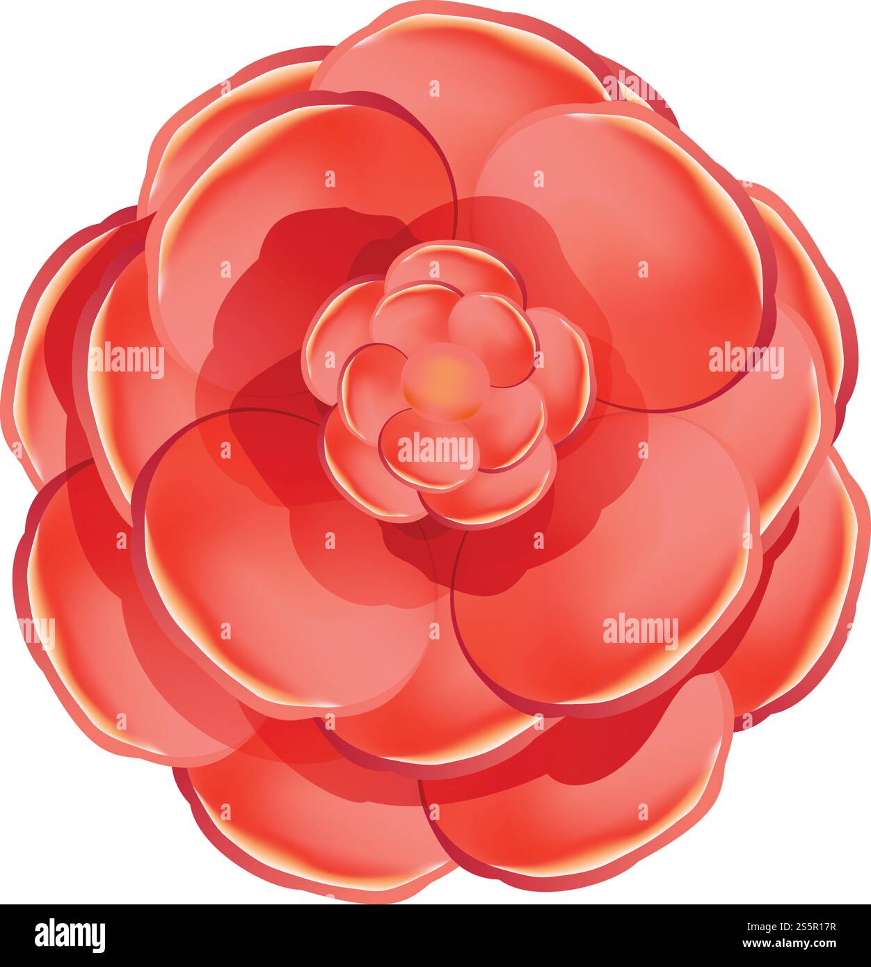 Red rose camellia icon. Cartoon of red rose camellia vector icon for ...