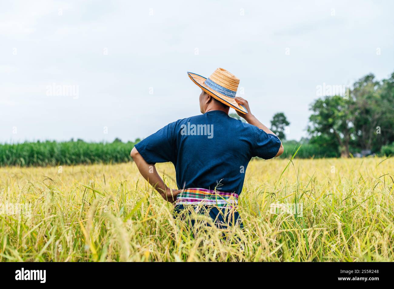 Aged farmer wearing straw hat hi-res stock photography and images - Alamy