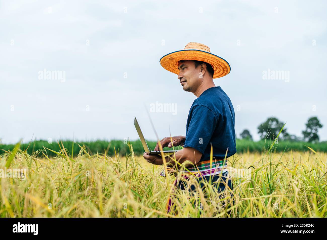 Middle aged Asian farmer man with Smart farming Agricultural technology ...