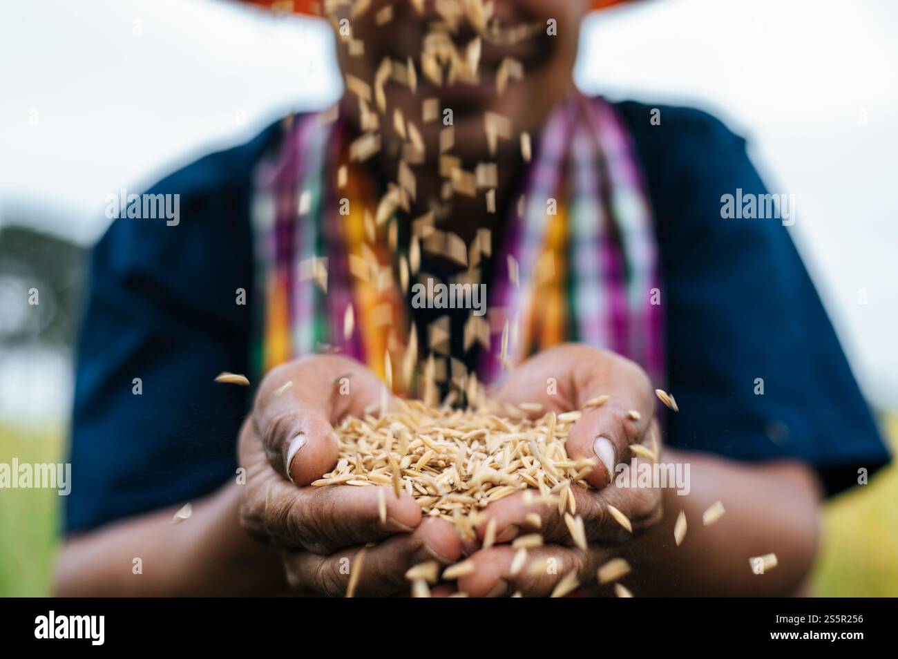 Close up and selective focus Of Farmer Hands with Spreading Seeds on ...