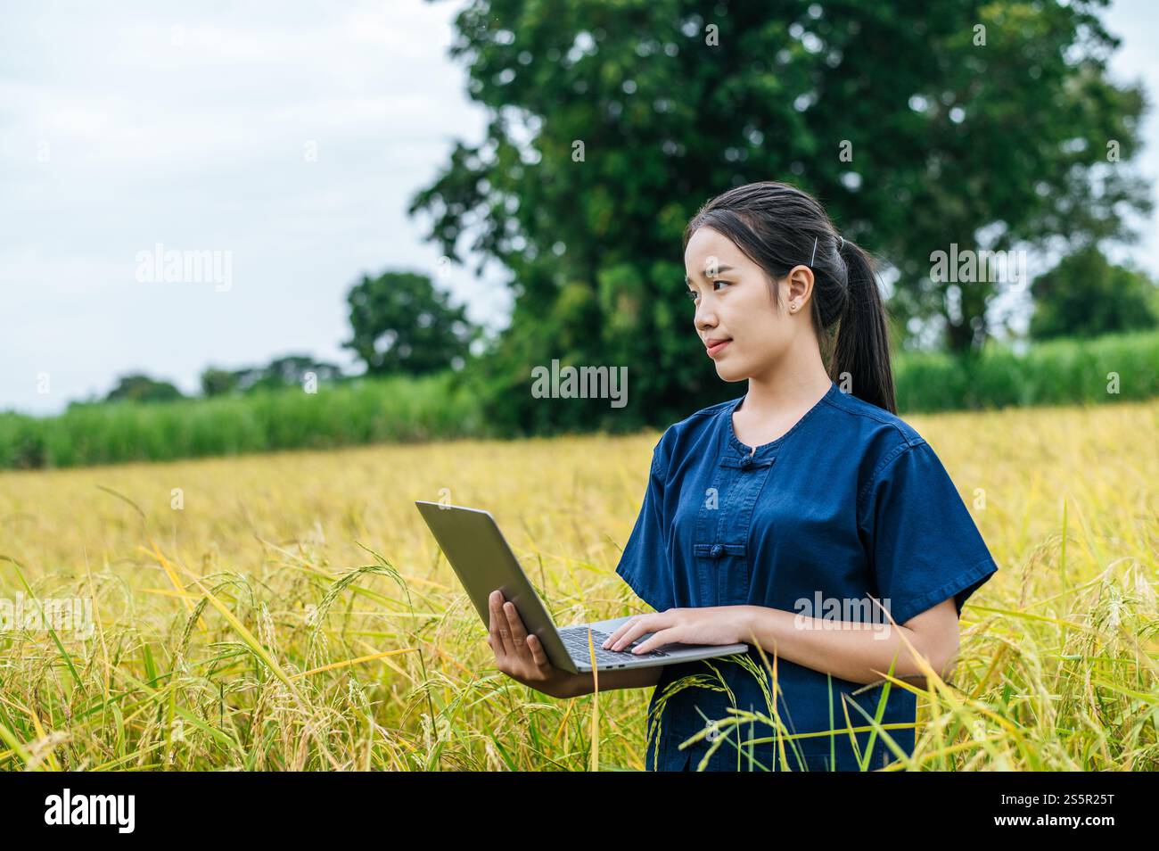 Asian farmer with Smart farming Agricultural technology and organic agriculture, using the ...