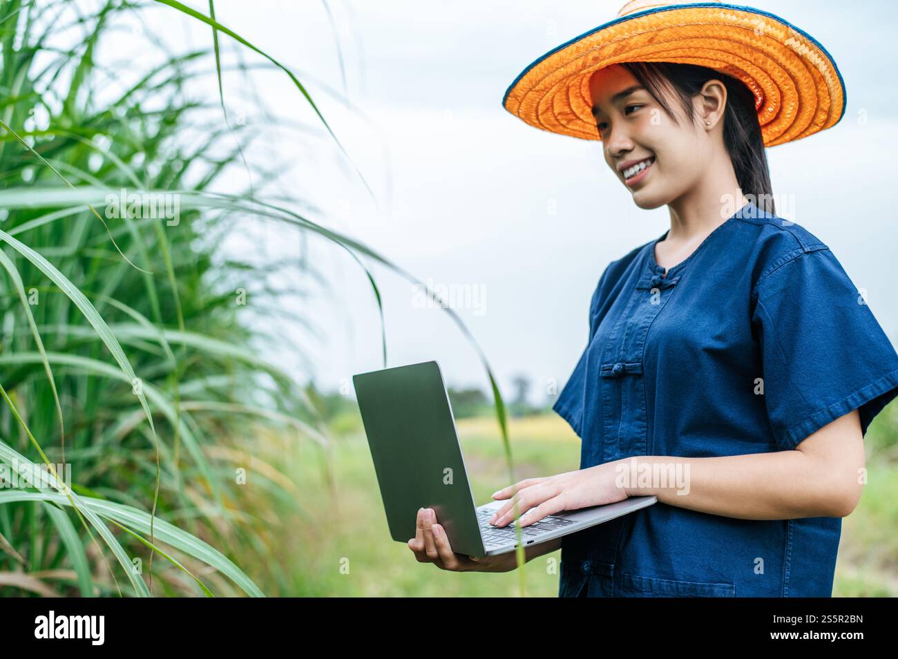 Portrait Young smart farmer woman wearing straw hat use laptop to ...