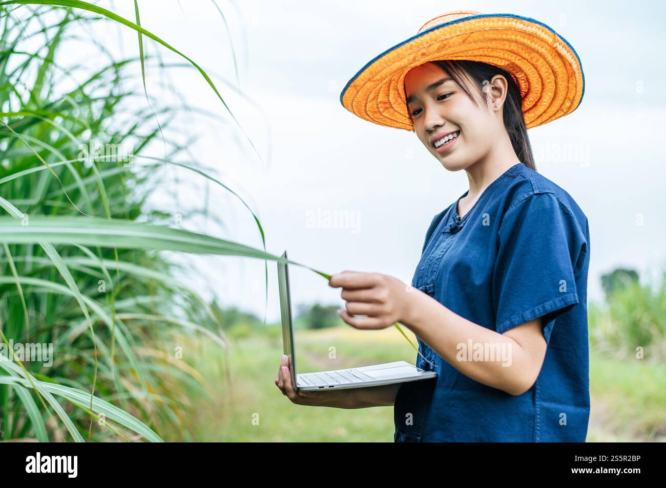 Portrait Young smart farmer woman wearing straw hat use laptop to ...