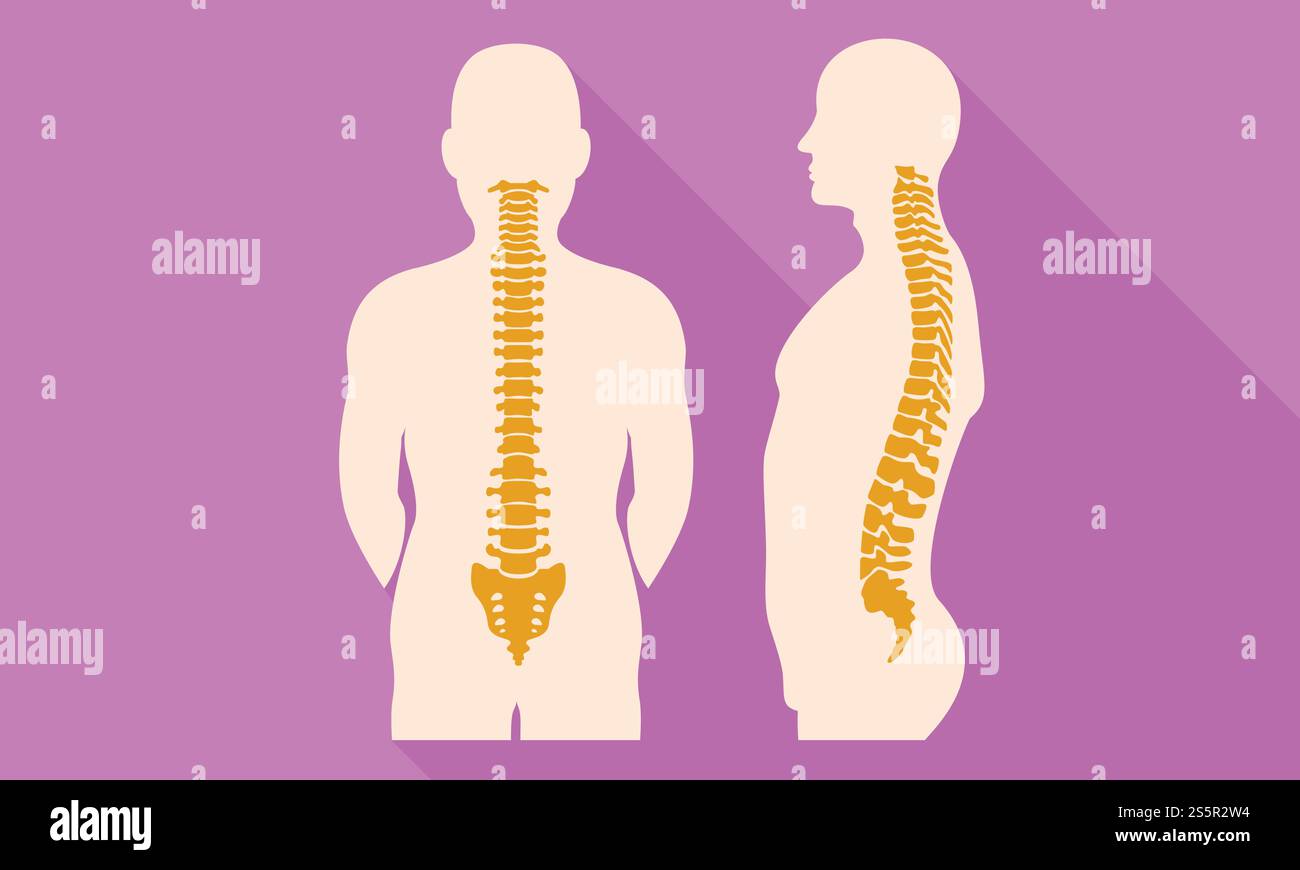Human spine icon. Flat illustration of human spine vector icon for web design. Human spine icon ...