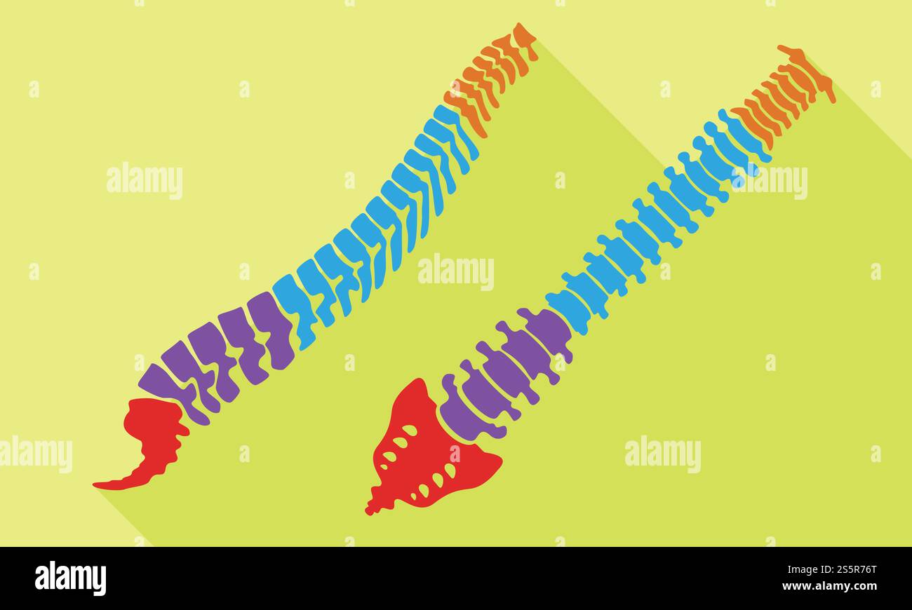 Spine color section icon. Flat illustration of spine color section ...