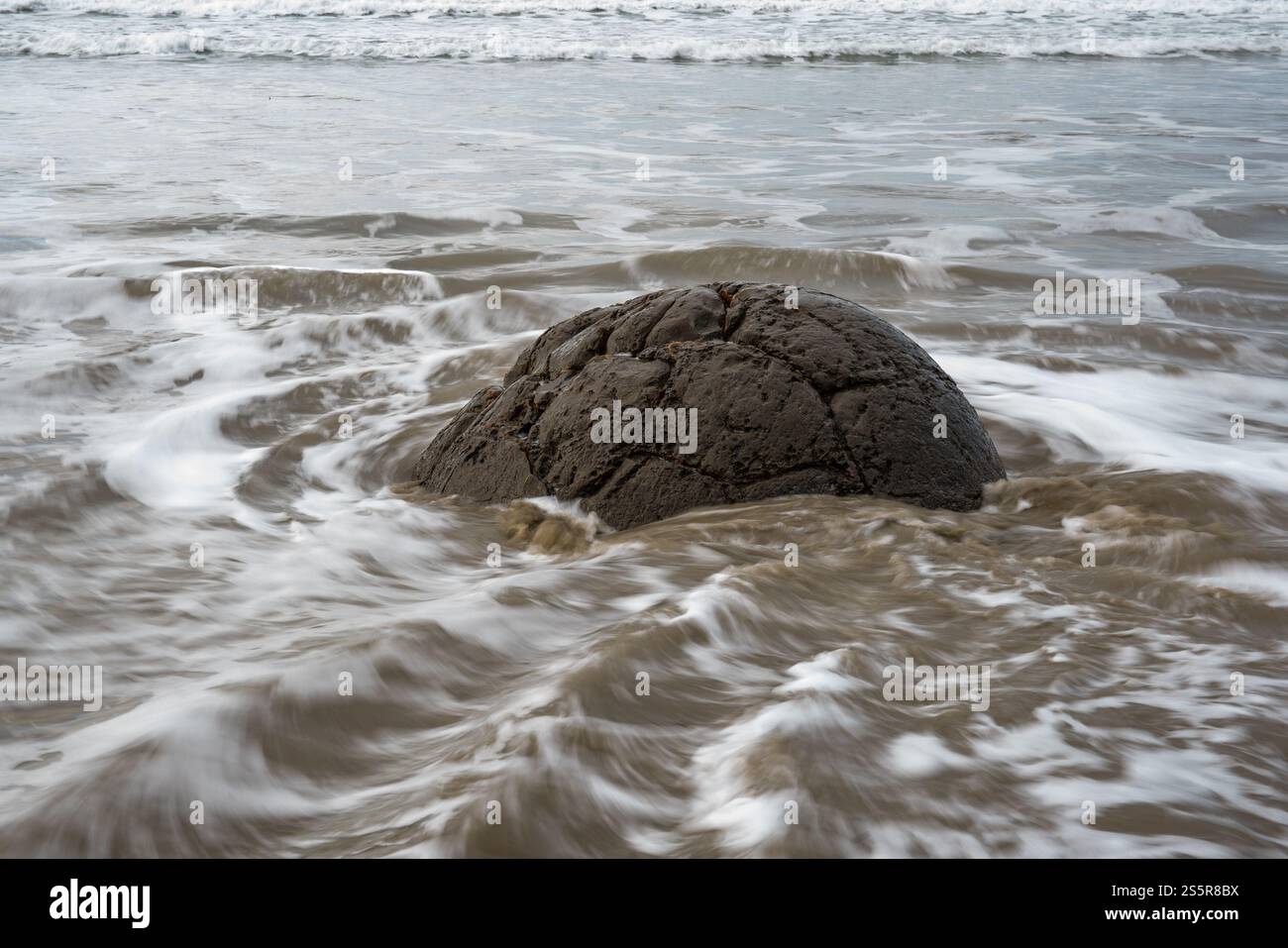Unique round textured rock Moeraki boulders on the cliffside and beach ...