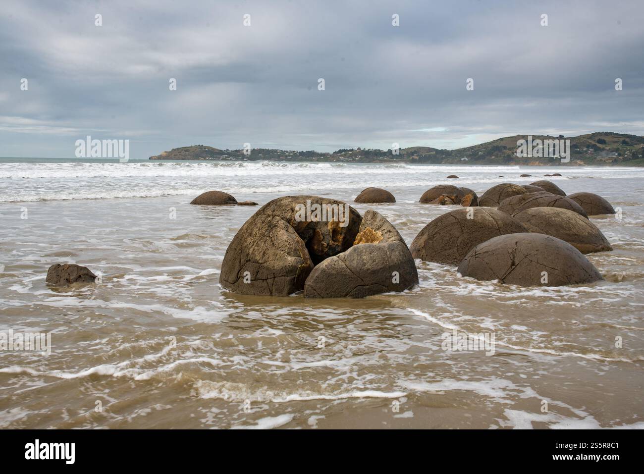 Unique round textured rock Moeraki boulders on the cliffside and beach ...