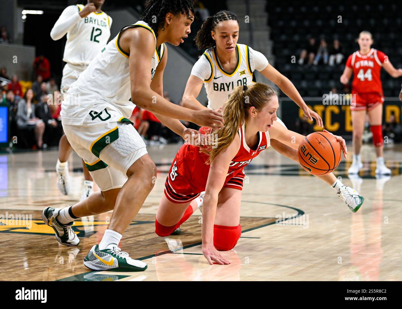 January 2025: Utah Utes guard Gianna Kneepkens (5) goes after a loose ...