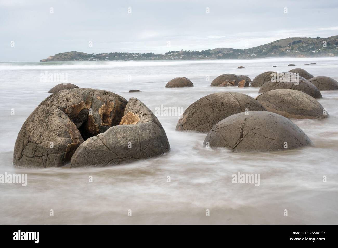 Unique round textured rock Moeraki boulders on the cliffside and beach ...
