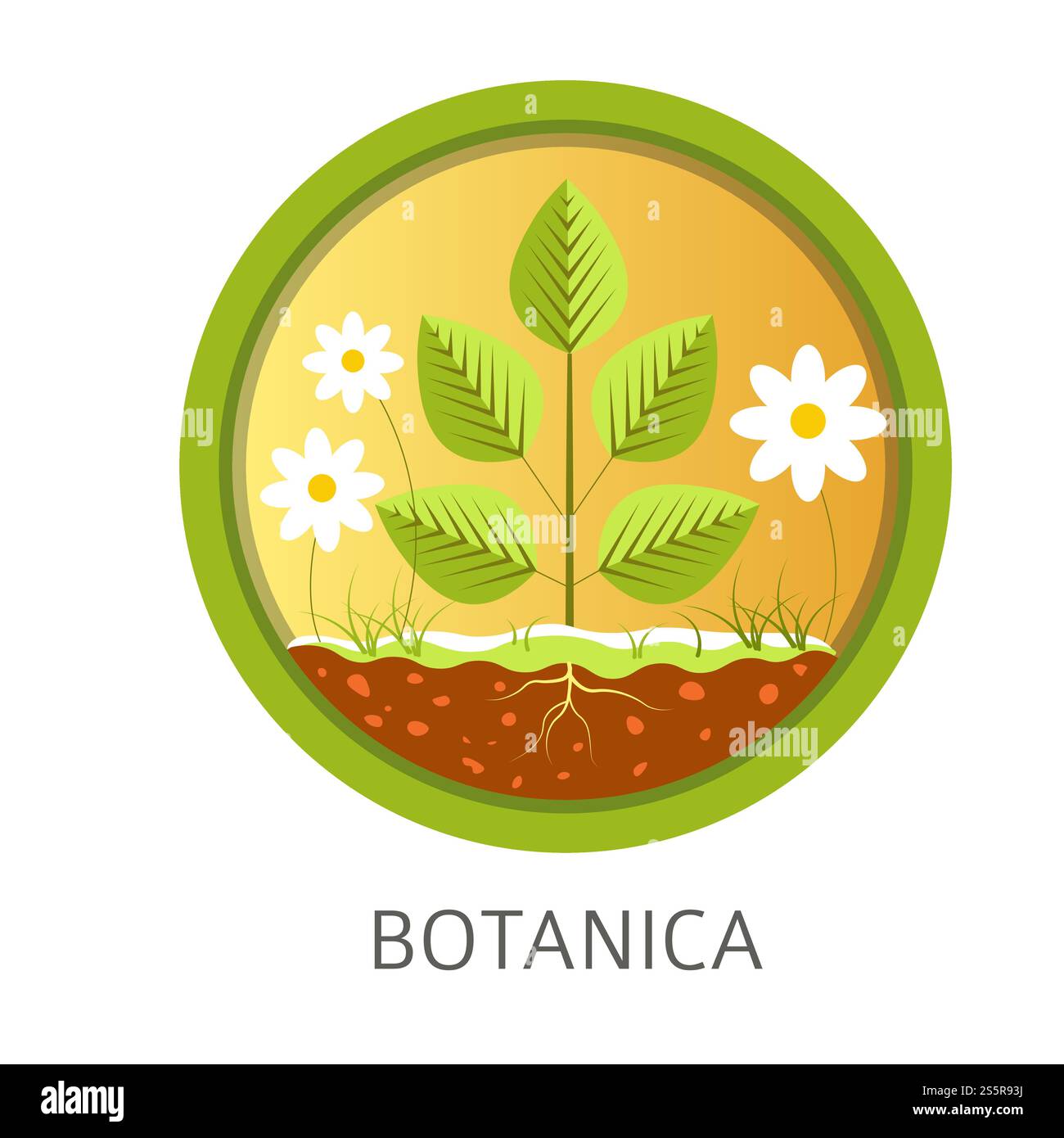 Botanica school discipline, informational lessons about nature and ...