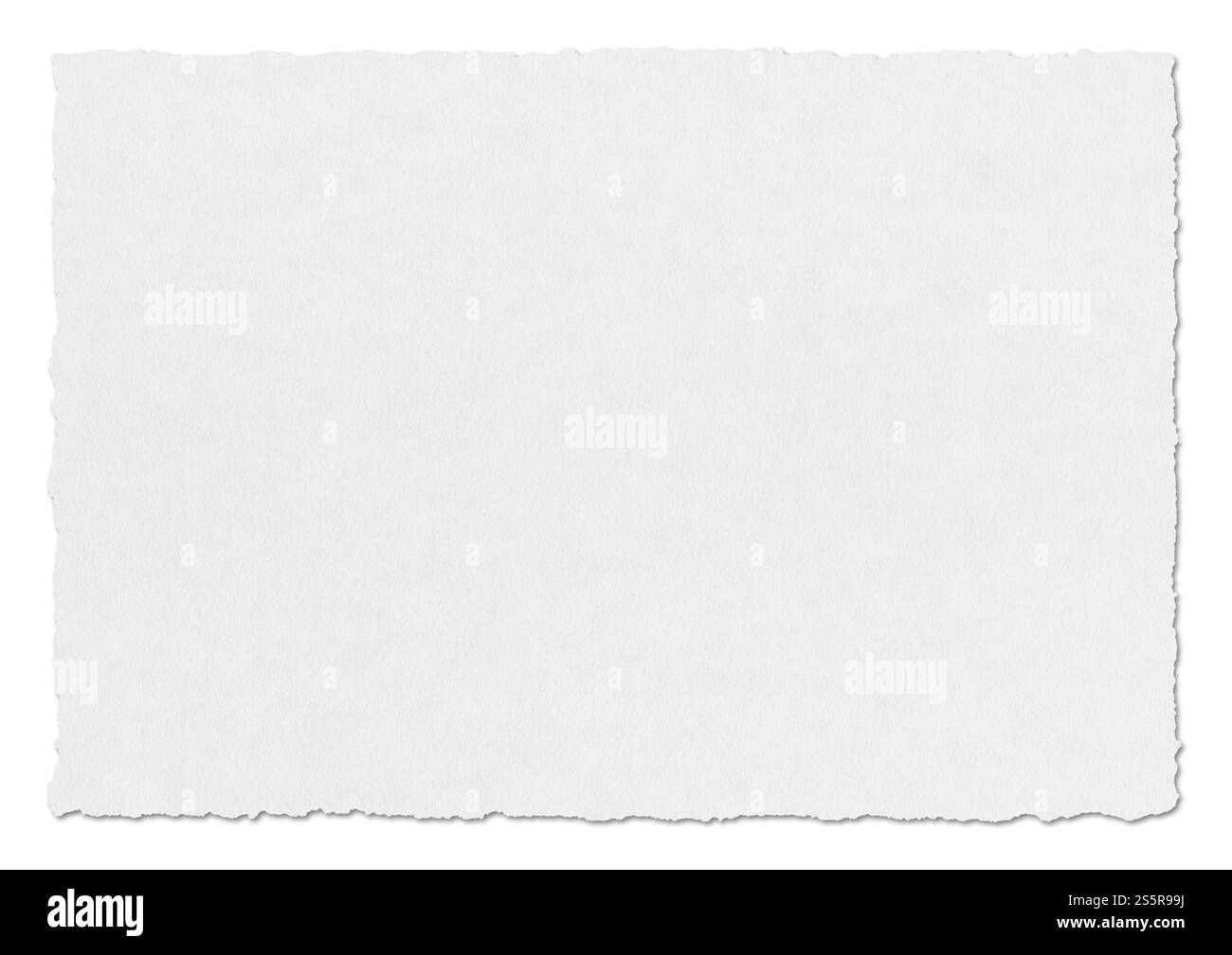 Clean white paper texture. Horizontal background wallpaper. Isolated on ...