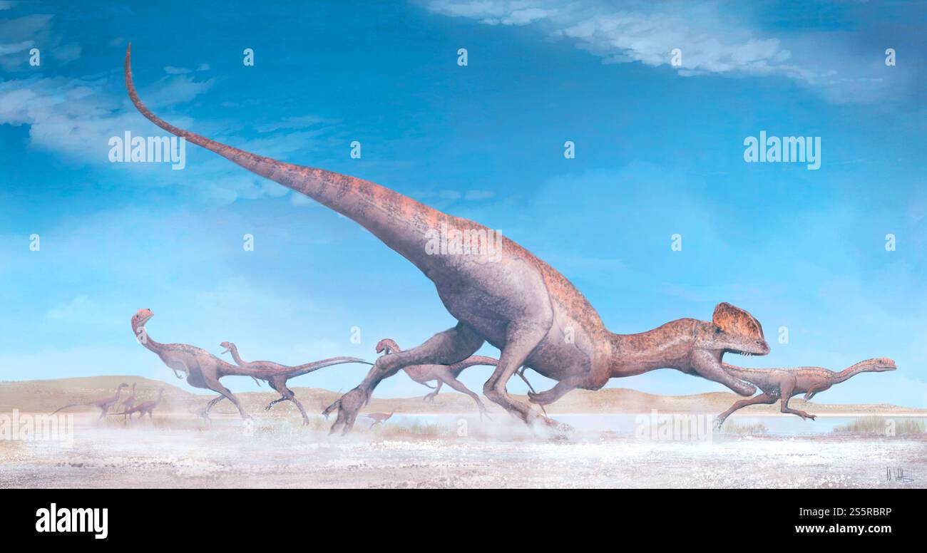 Illustration of an adult Dilophosaurus dinosaur chasing after juveniles ...