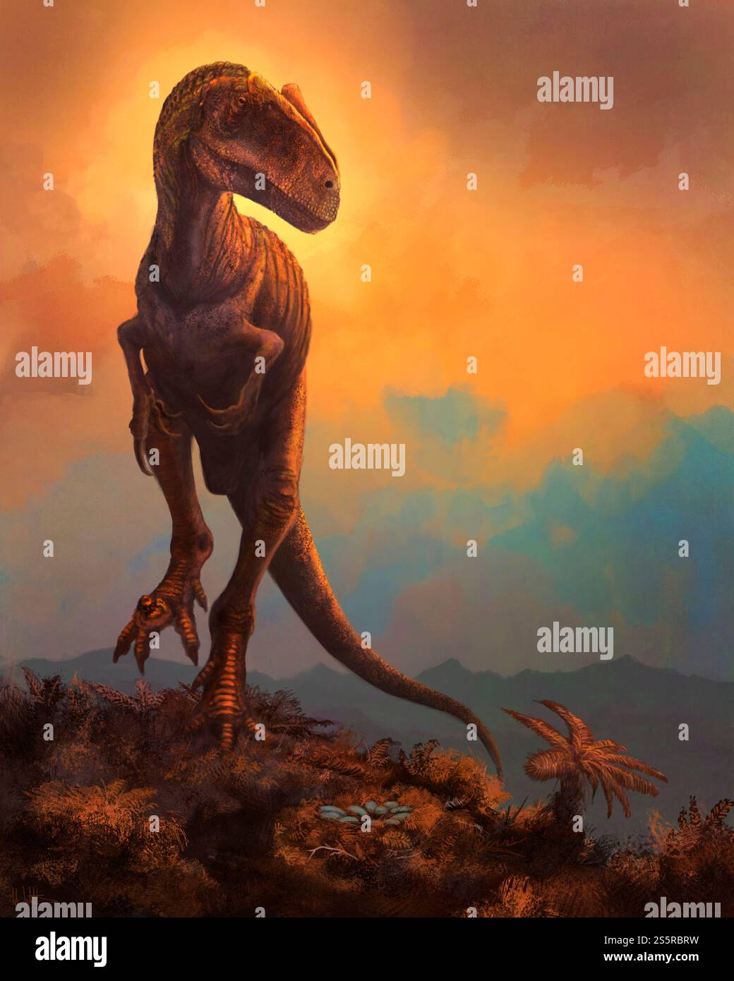 'Big Al' Allosaurus dinosaur, illustration Stock Photo - Alamy