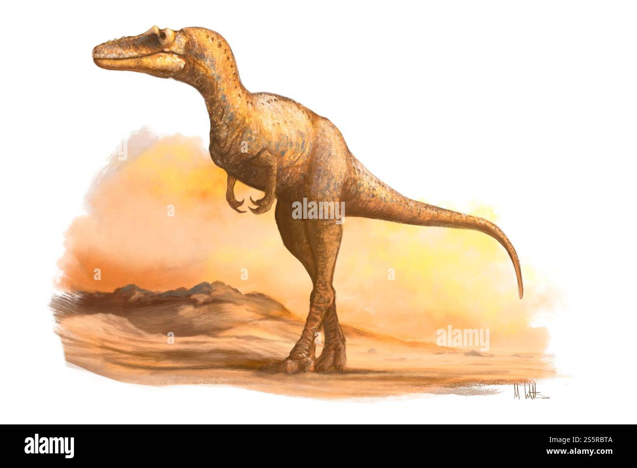 Illustration of a Qianzhousaurus sp. dinosaur. This carnivorous ...