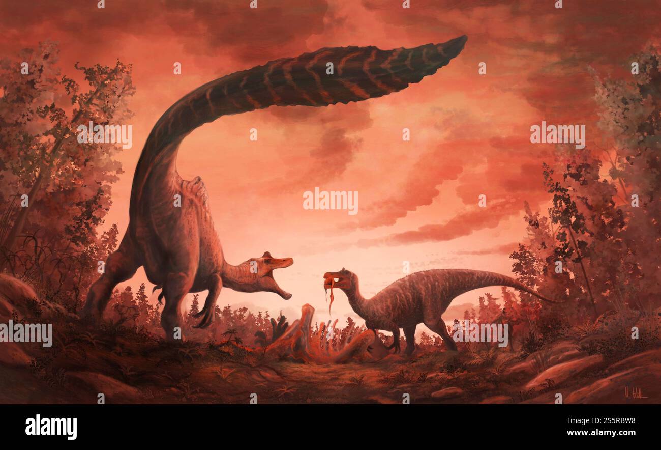 Illustration of two spinosaurid dinosaurs, one from the subfamily ...