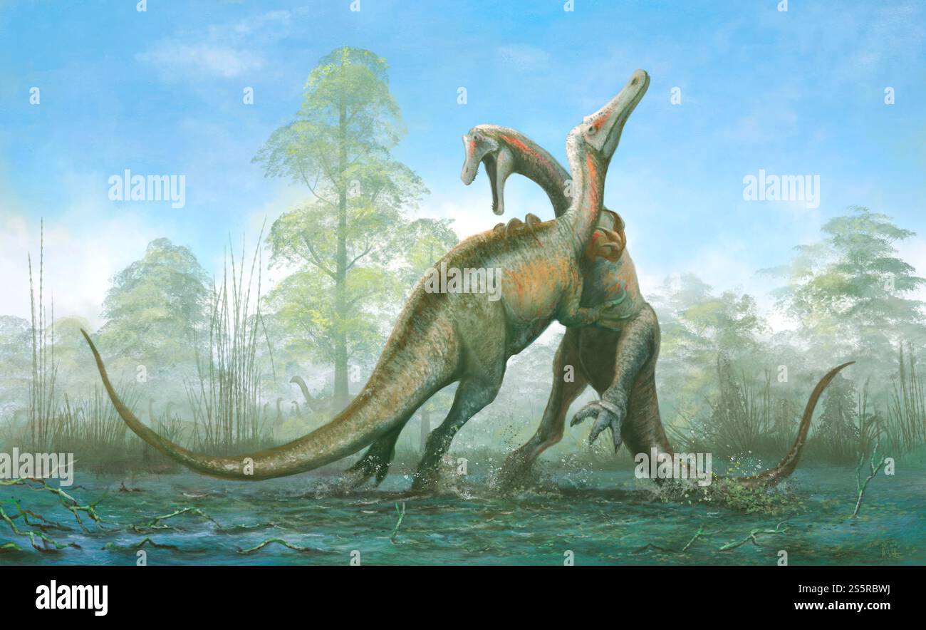 Illustration of two Suchomimus sp. dinosaurs fighting. This carnivorous ...