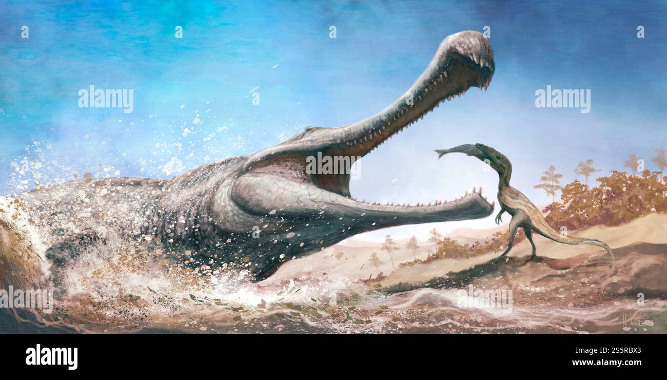 Illustration of a Sarcosuchus sp. prehistoric crocodyliform launching ...