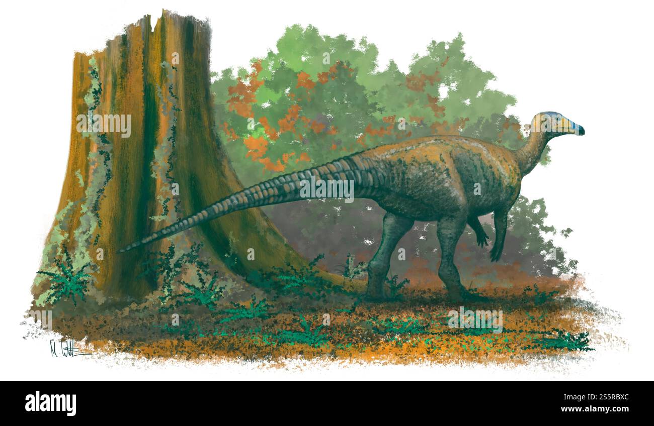 Illustration of a Thescelosaurus sp. dinosaur. This herbivorous ...