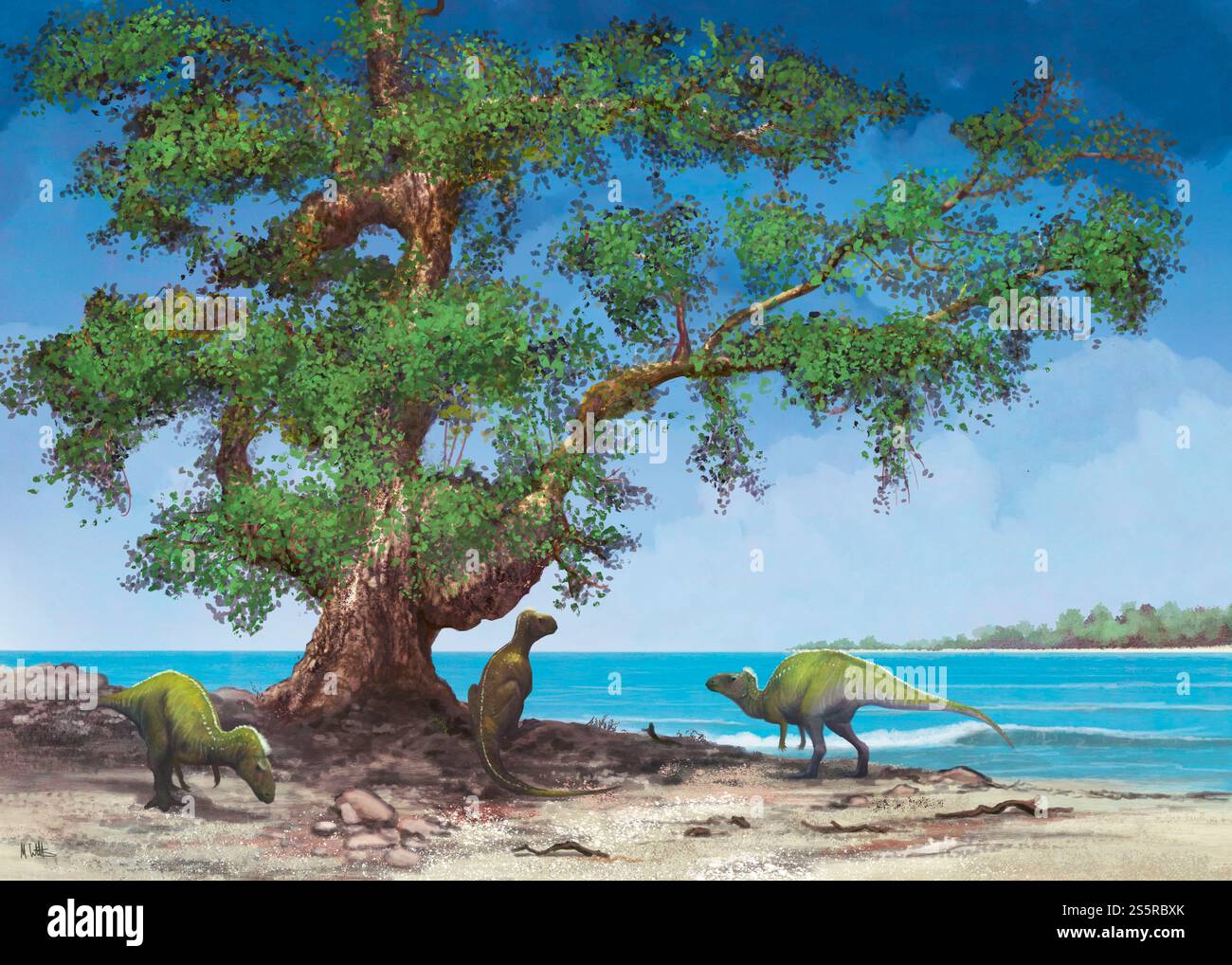 Illustration of a group of Zalmoxes sp. dinosaurs on a beach. These ...