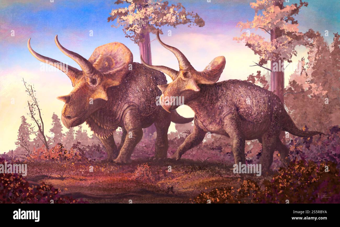 Illustration of male (left) and female (right) Triceratops dinosaurs ...
