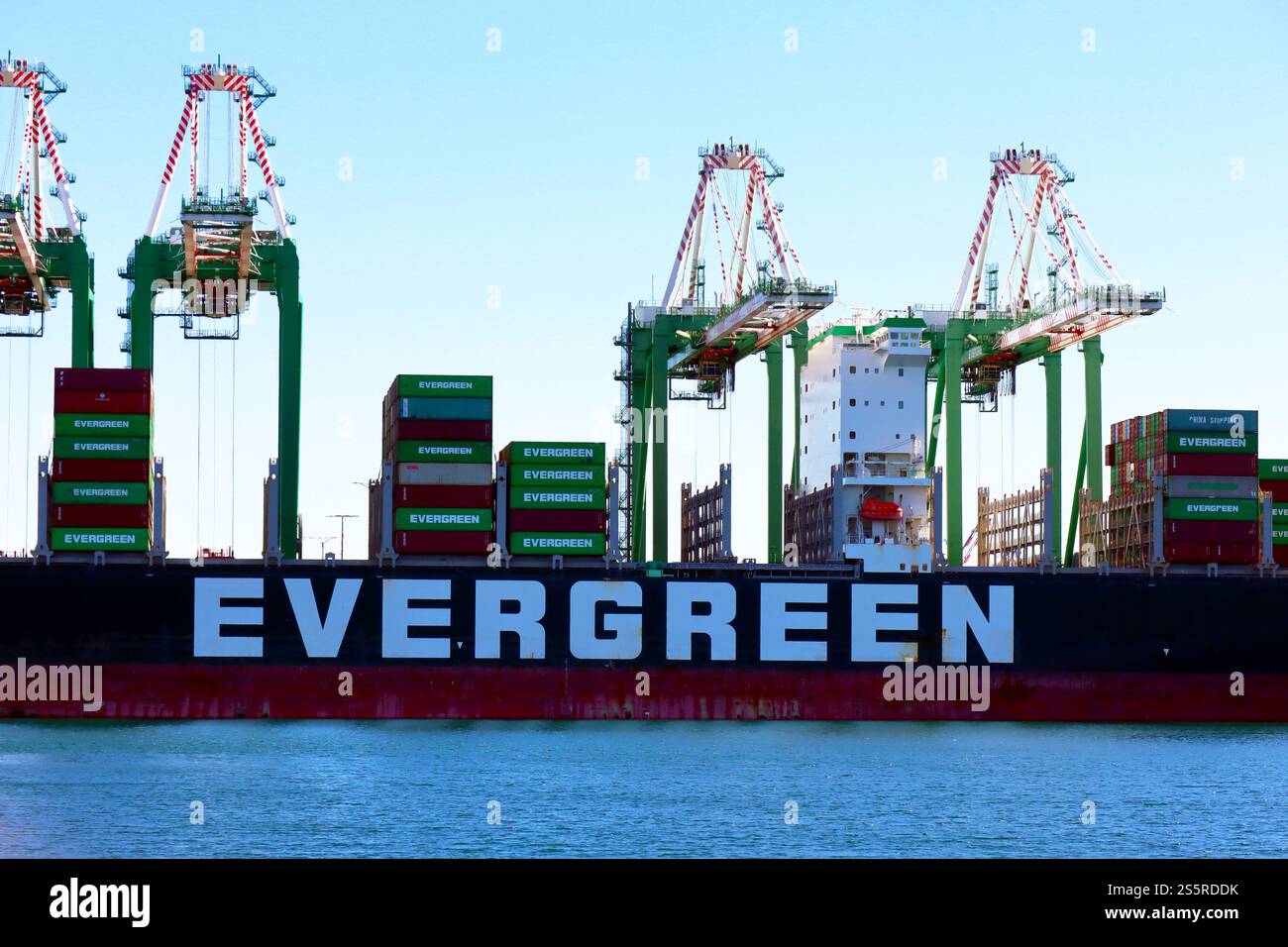 EVERGREEN shipping containers at the Port of Los Angeles in San Pedro ...