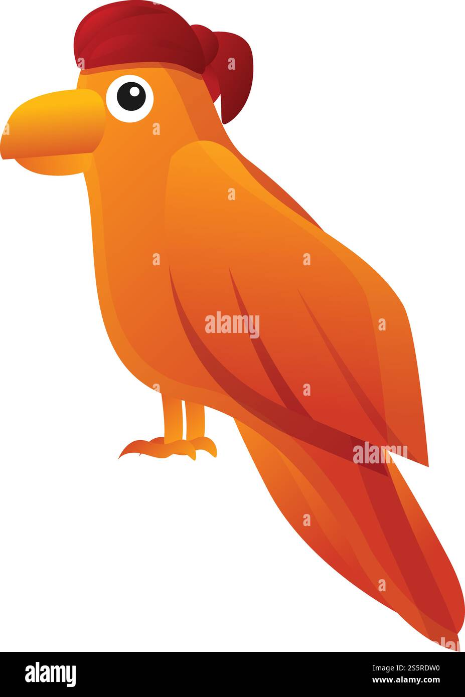 Pirate parrot icon. Cartoon of pirate parrot vector icon for web design ...