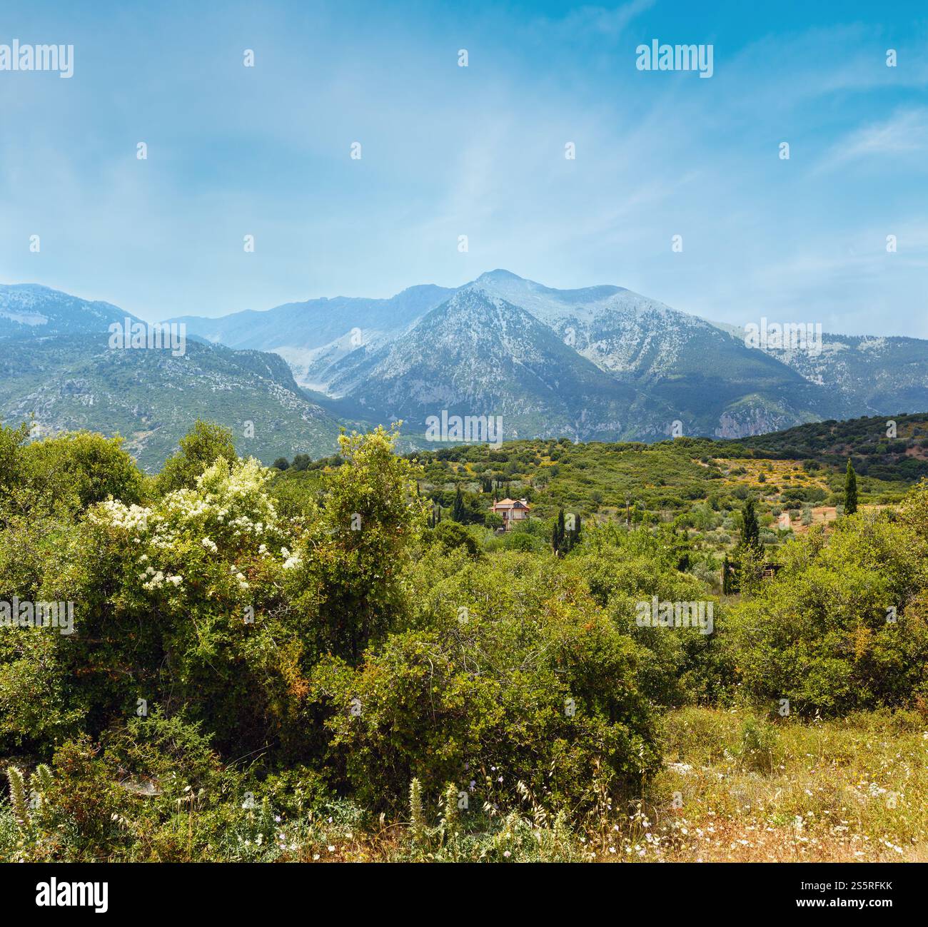 View with mount parnassus hi-res stock photography and images - Alamy