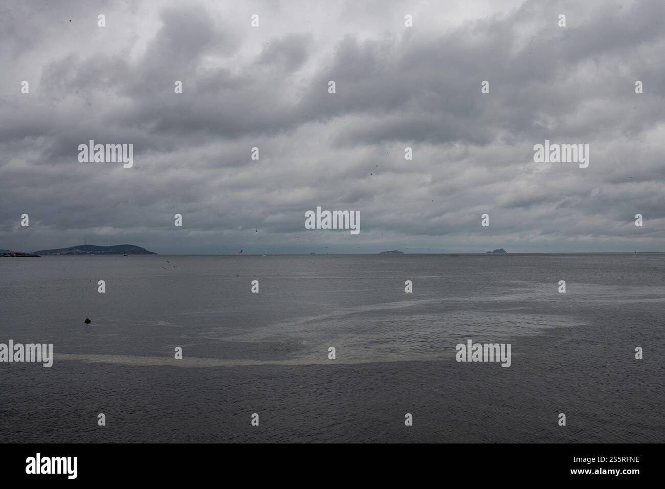 Mucilage seen on the sea surface at the Moda coast. The mucilage that ...