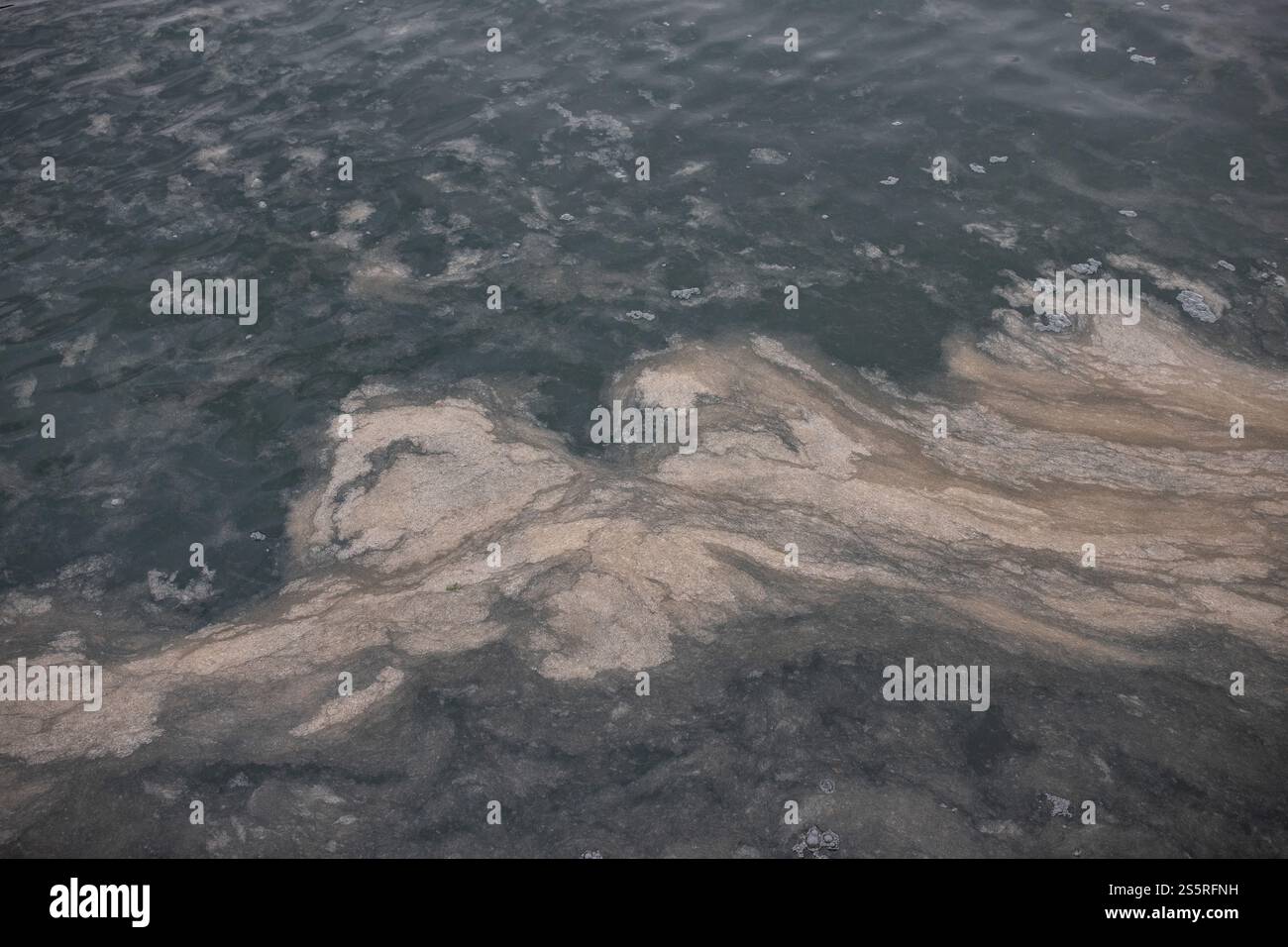 Mucilage seen on the sea surface at the Moda coast. The mucilage that ...