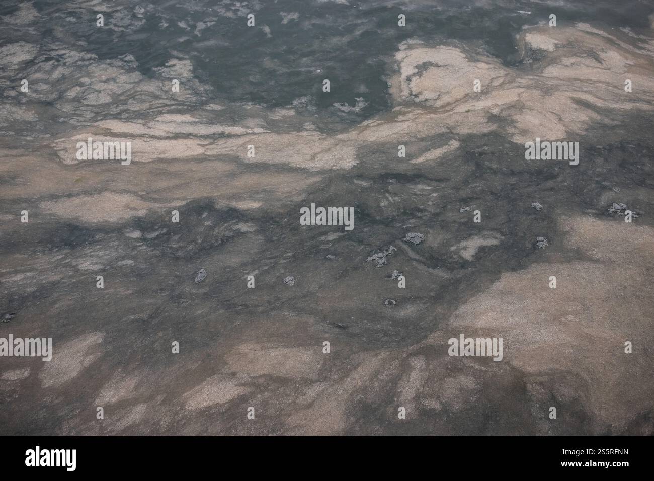 Mucilage seen on the sea surface at the Moda coast. The mucilage that ...