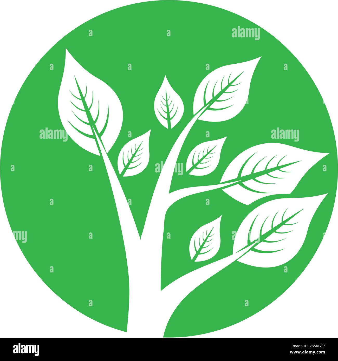 Eco Tree Leaf Logo Template Stock Vector Image & Art - Alamy