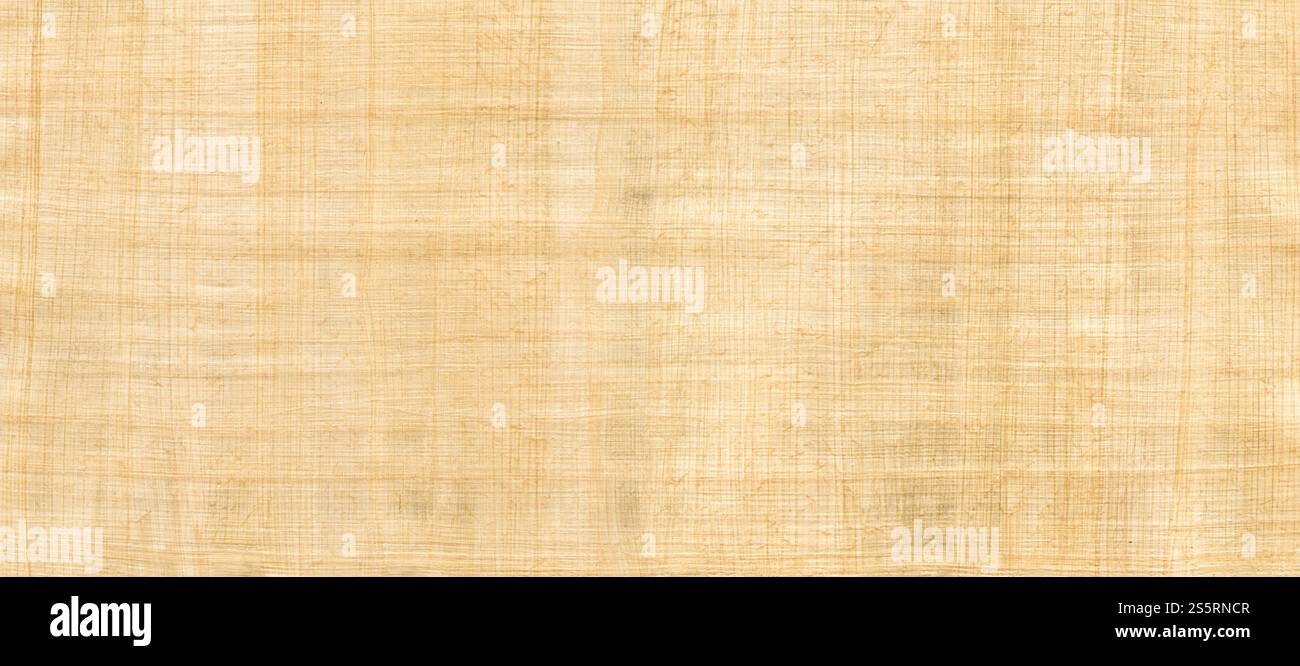 Old brown papyrus background texture. Banner wallpaper. Old papyrus ...